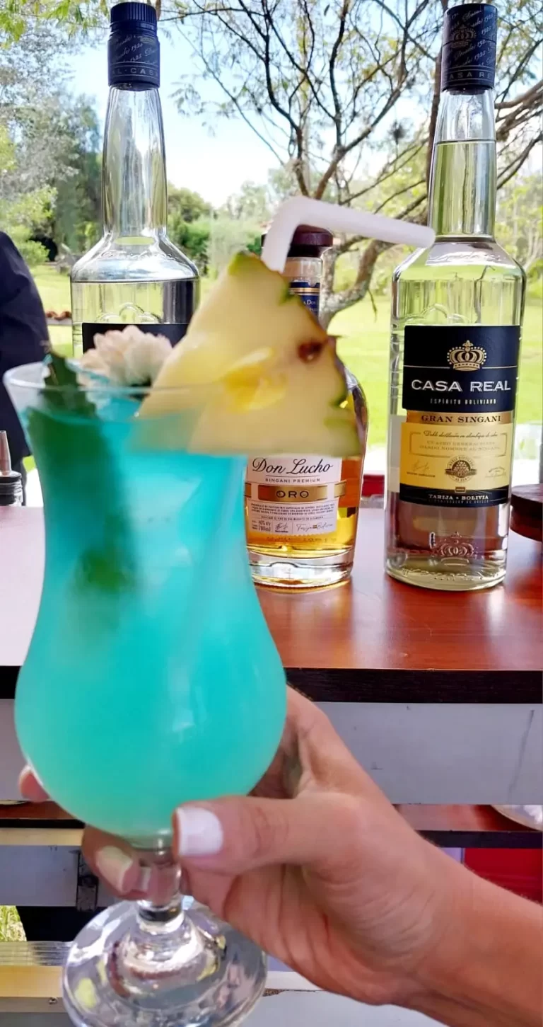 Cocteles de sabores con Singani - Revista Moscatel